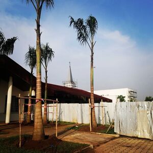 Abidjan Ivory Coast Temple Photograph Gallery ...