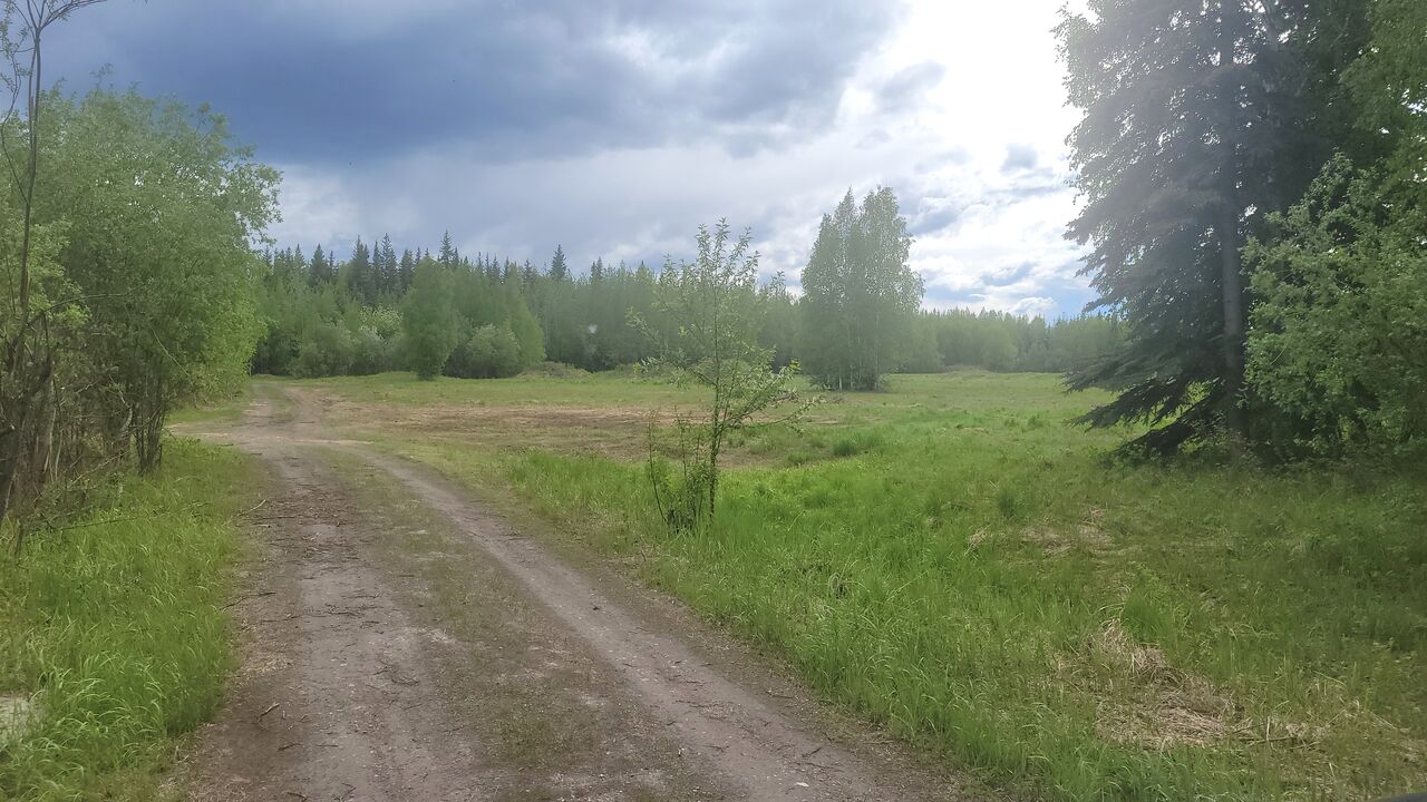 Fairbanks Alaska Temple | ChurchofJesusChristTemples.org