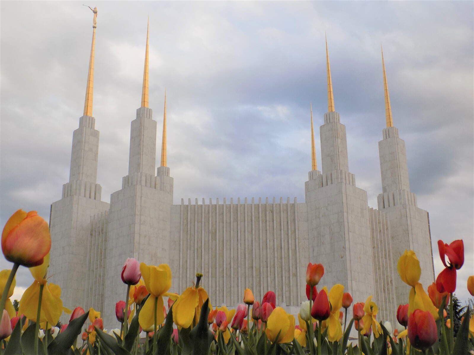 Washington D.C. Temple Photograph Gallery | ChurchofJesusChristTemples.org